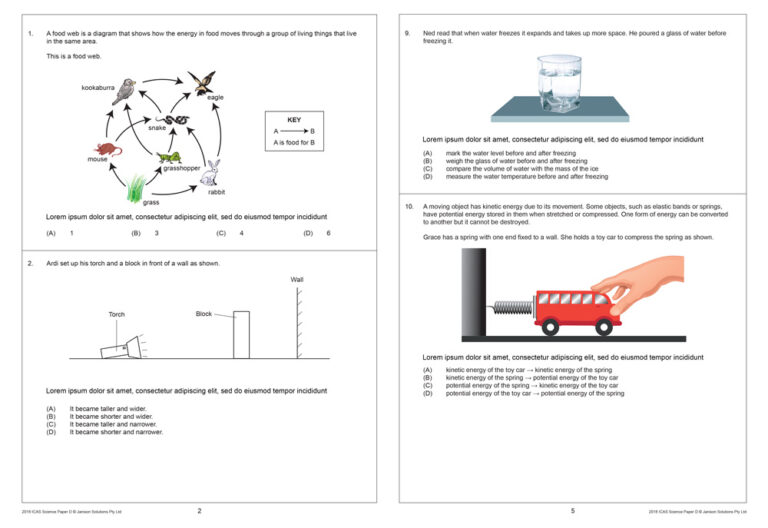 ICAS Year 6 Test - Maths, English, Science & More | ICAS Assessments